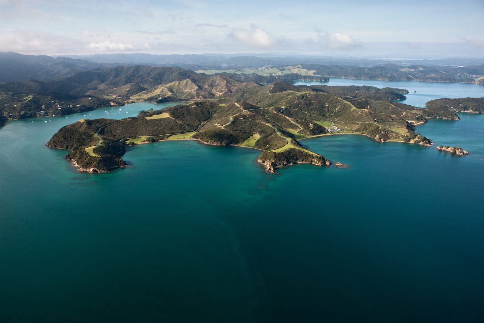 Omarino – Bossley Architects