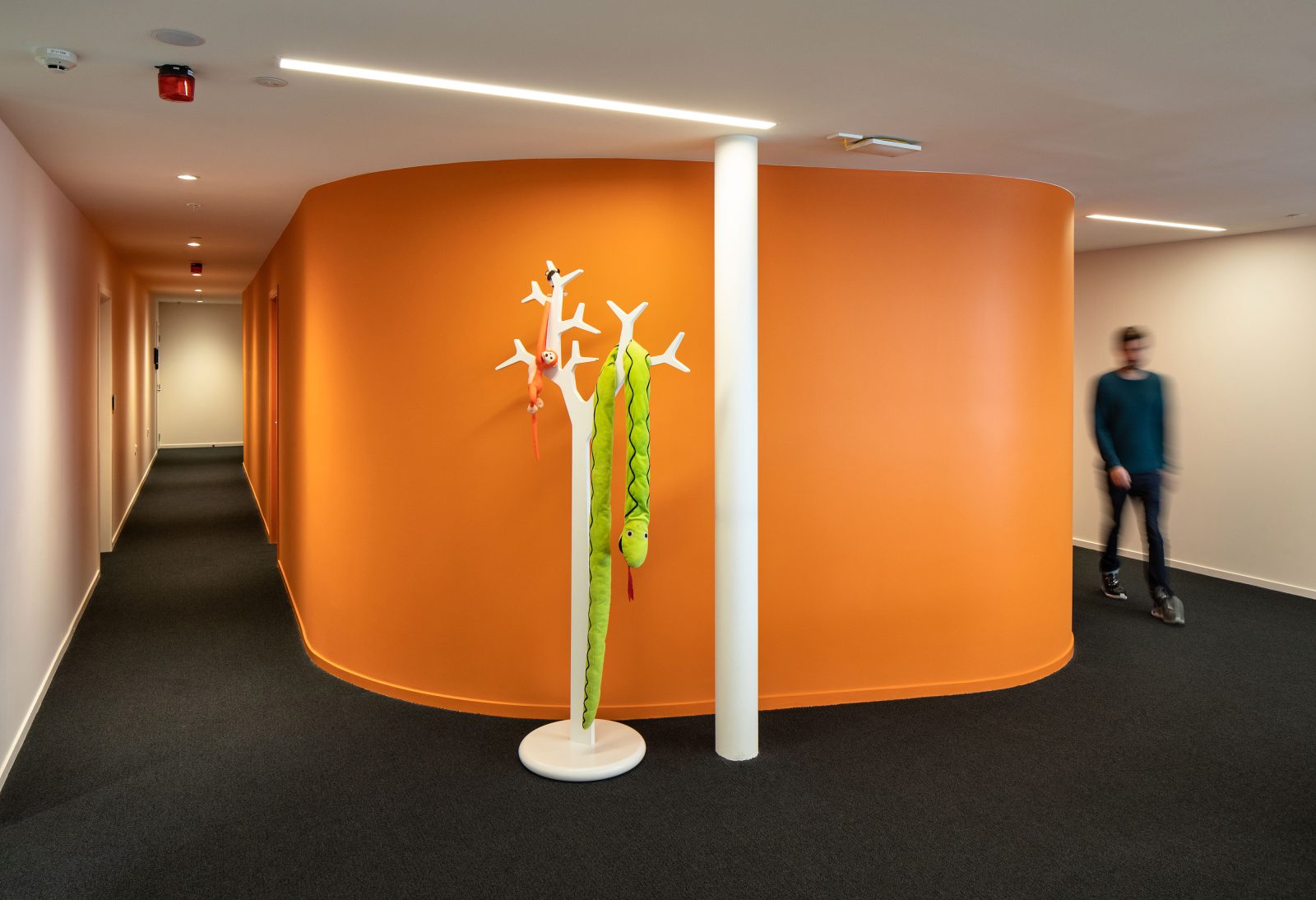 The Hearing House – Bossley Architects